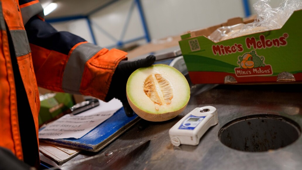 About ZZC – ZZColdstores