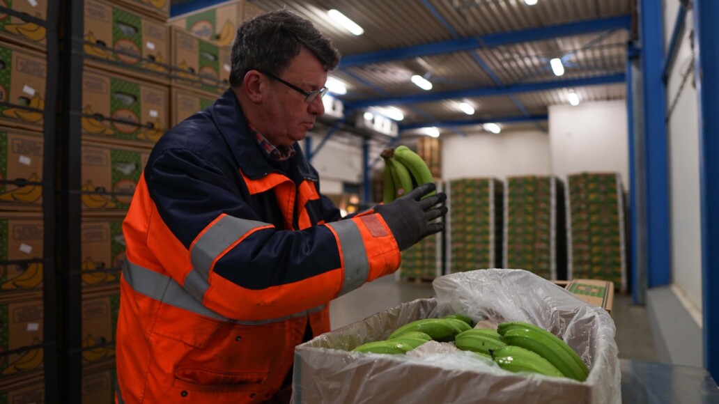 About ZZC – ZZColdstores