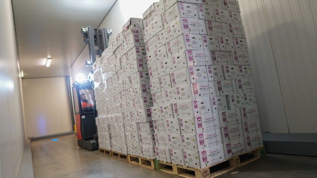 About ZZC – ZZColdstores