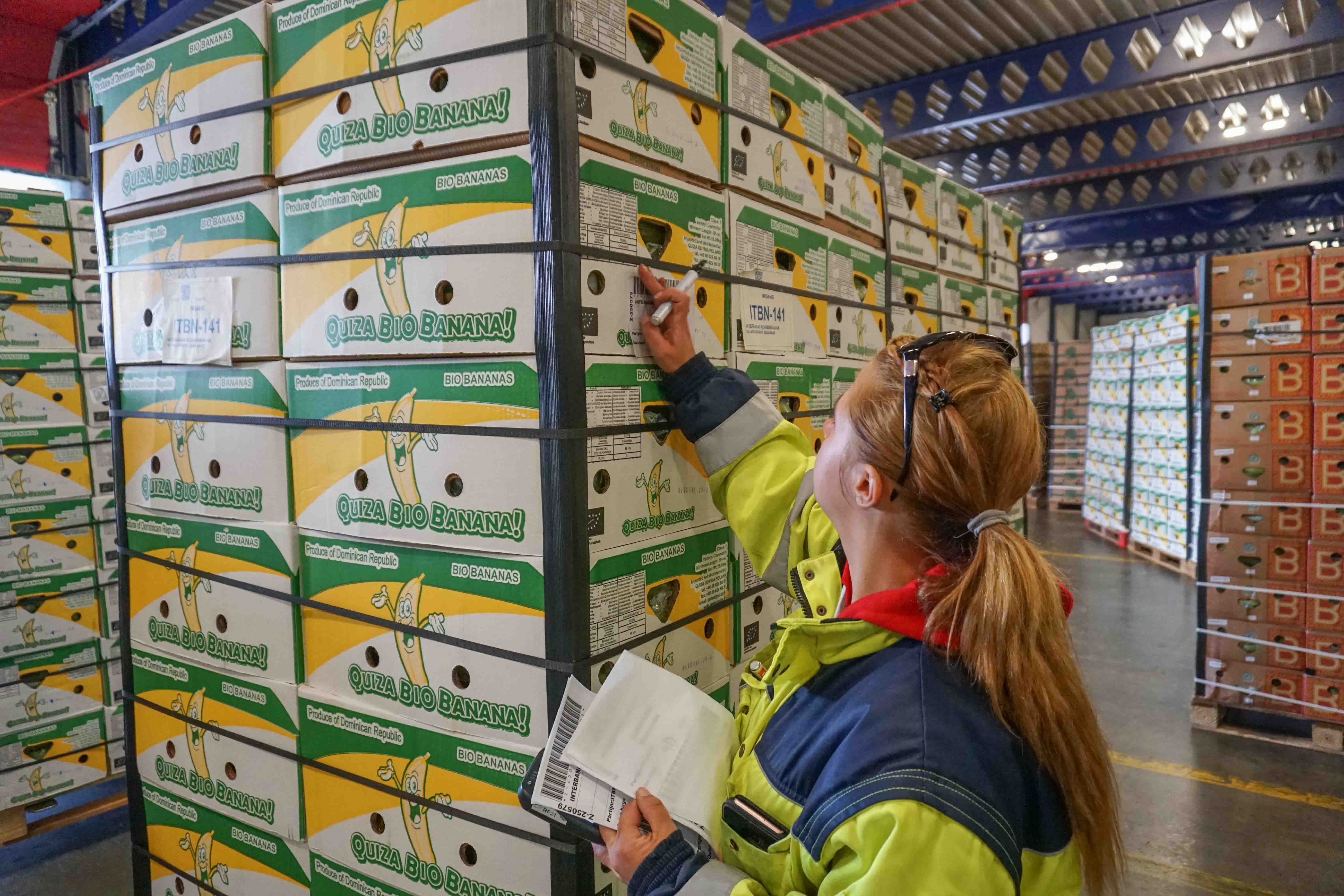 About ZZC – ZZColdstores